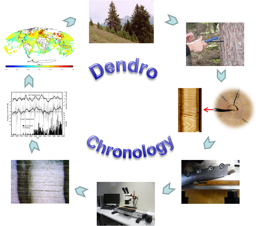 DendroLab2 | Geographisches Institut